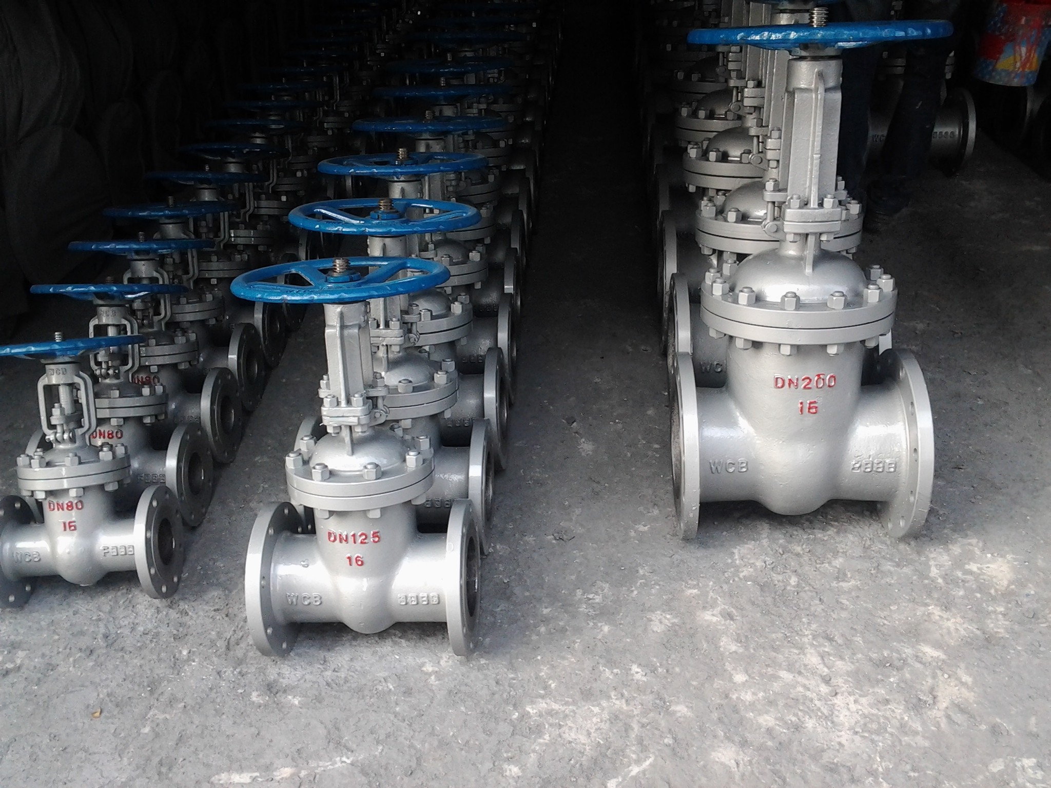 Valvola a saracinesca dell'acciaio fuso 10" (DN 250, PN 25) con il ...